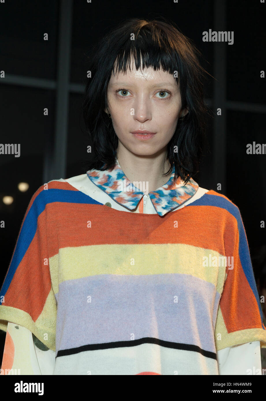 New York, USA. 07th Feb, 2017. Model shows off dress by Degen of USA ...