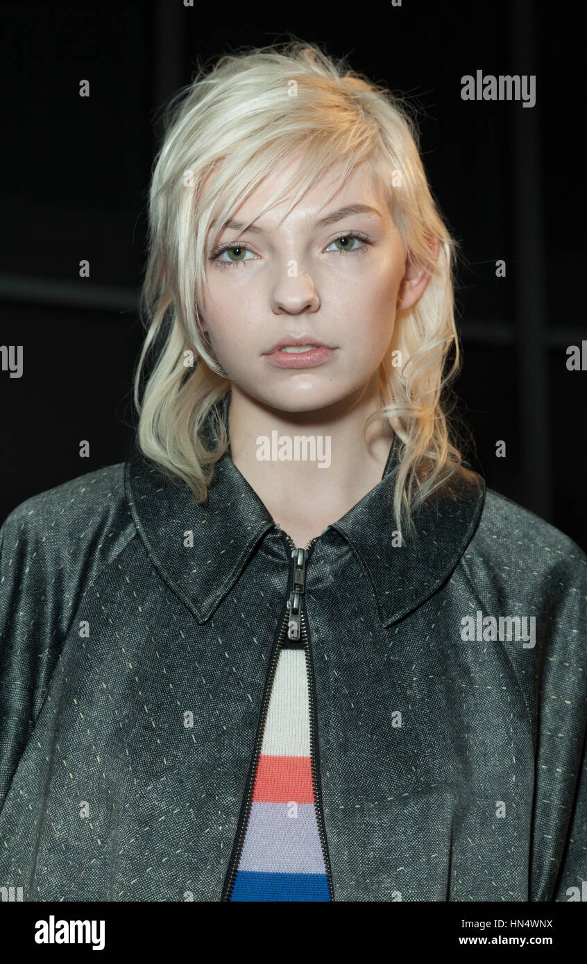 New York, USA. 07th Feb, 2017. Model shows off dress by Degen of USA ...
