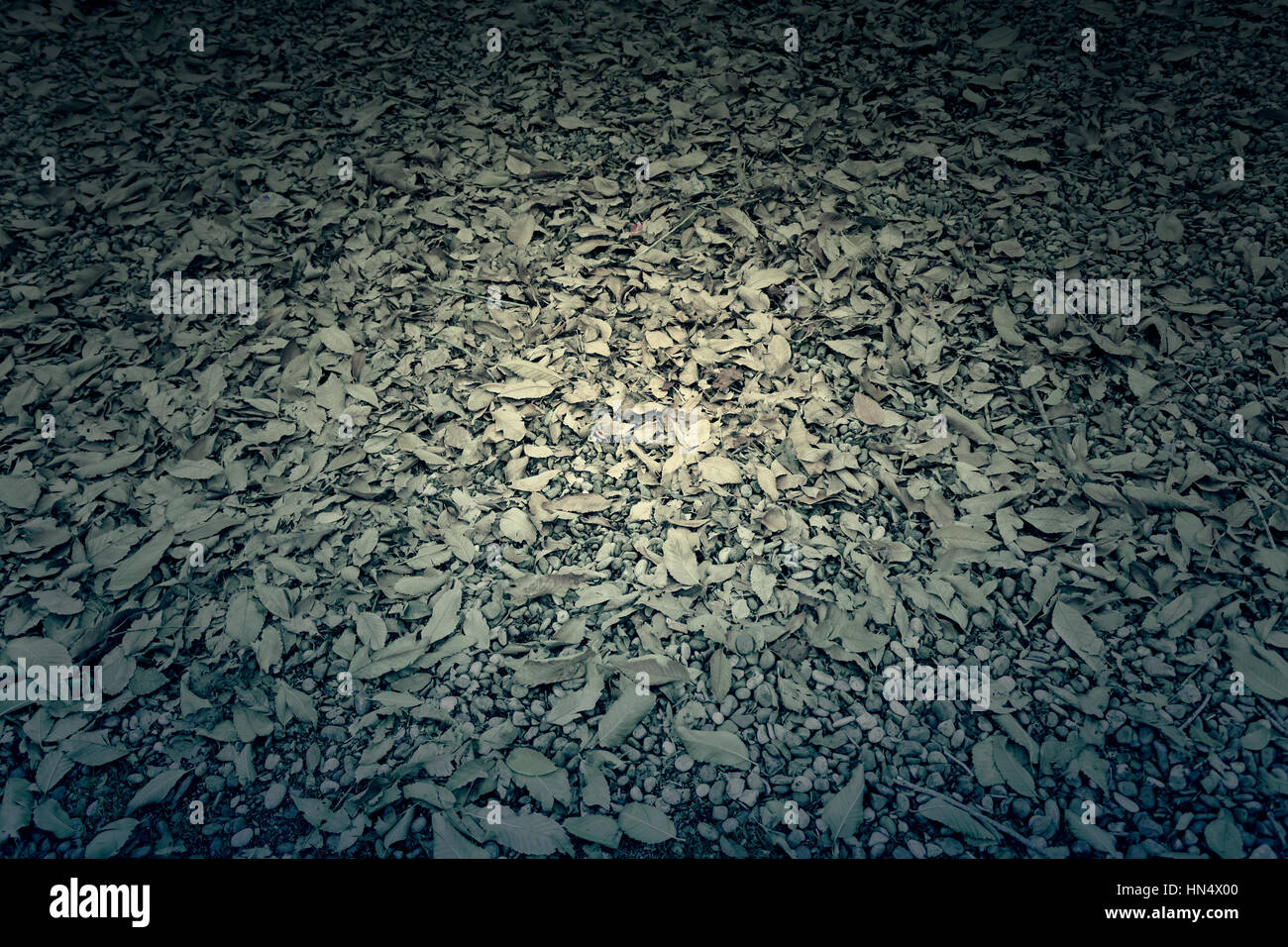 Floor autumn leaves and stones, natural Stock Photo - Alamy