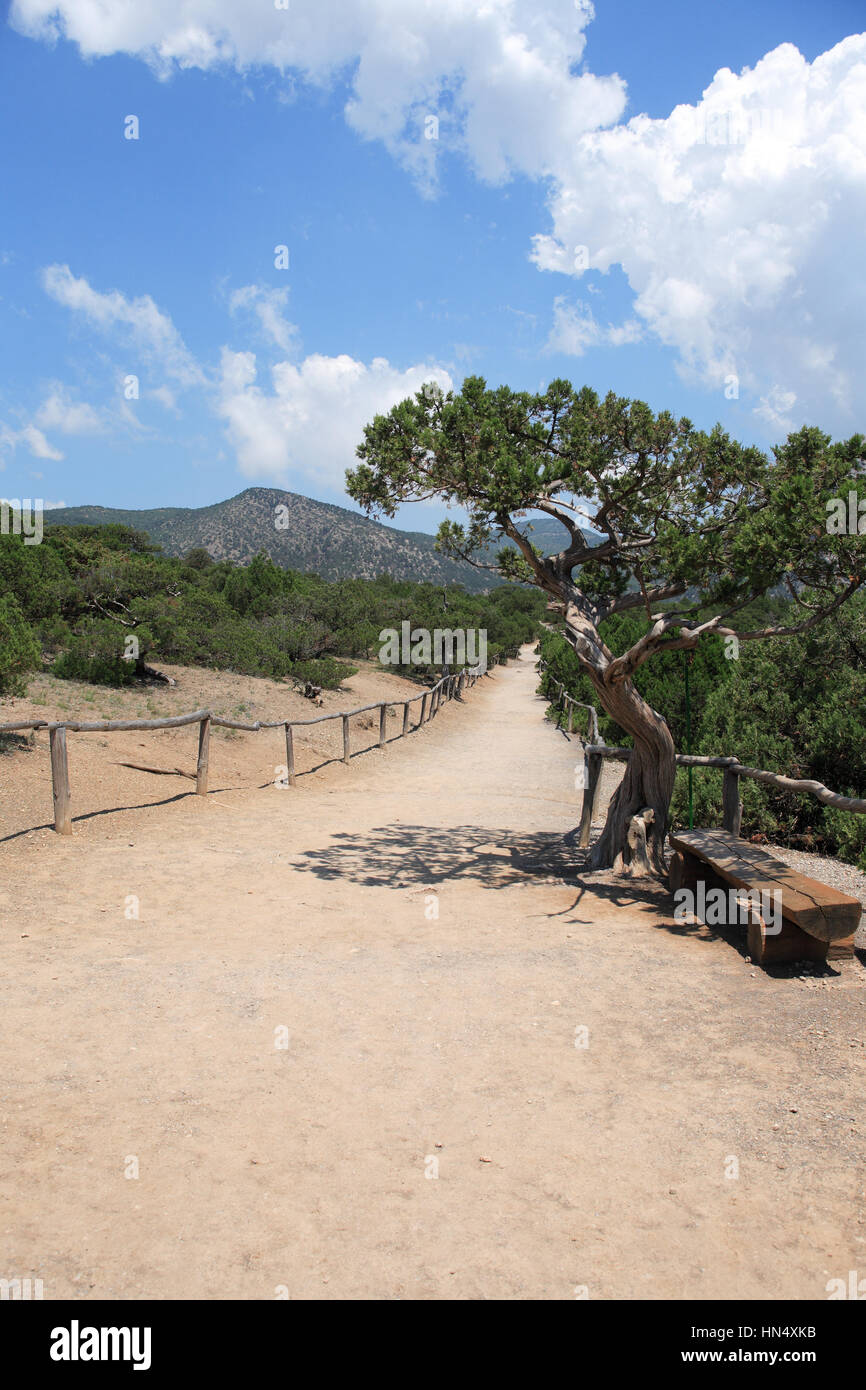 Solitary path with bench and tree under blue sky Stock Photo - Alamy
