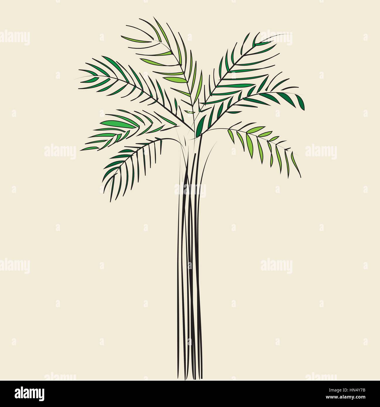 Big green palm tree Stock Vector Images - Alamy