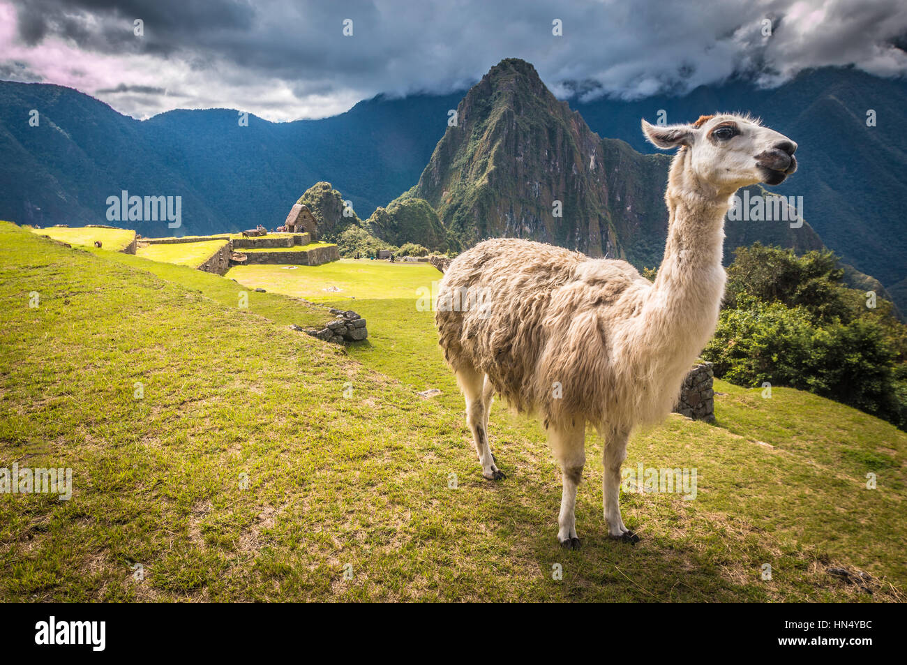Conquest of the incas hi-res stock photography and images - Alamy