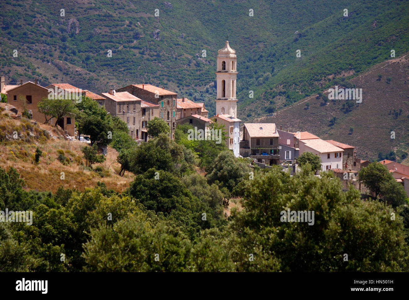 Kosika hi-res stock photography and images - Alamy