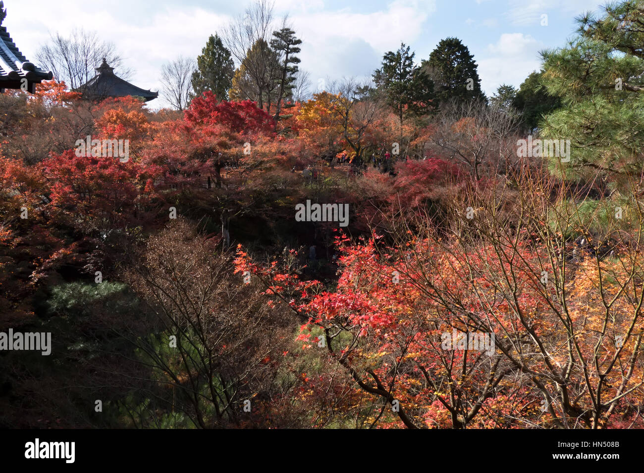 Zen garden temple tofuku ji kyoto hi-res stock photography and images ...