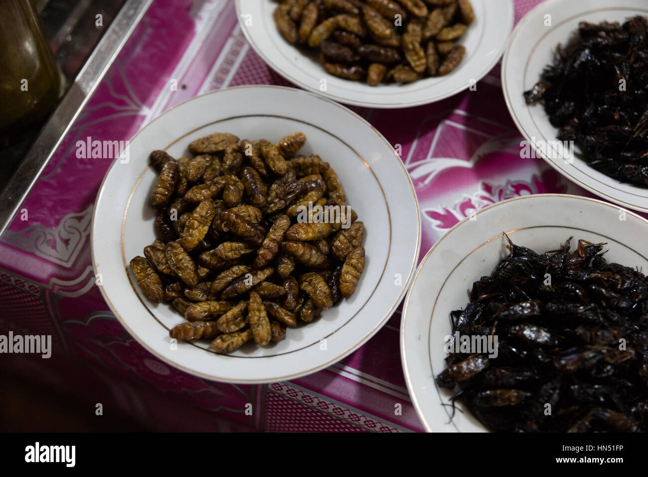 Laotian mushrooms hi-res stock photography and images - Alamy