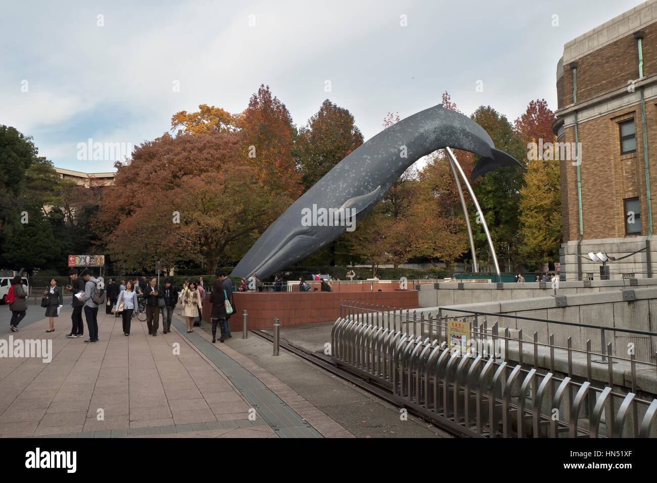 National museum of nature and science hi-res stock photography and ...
