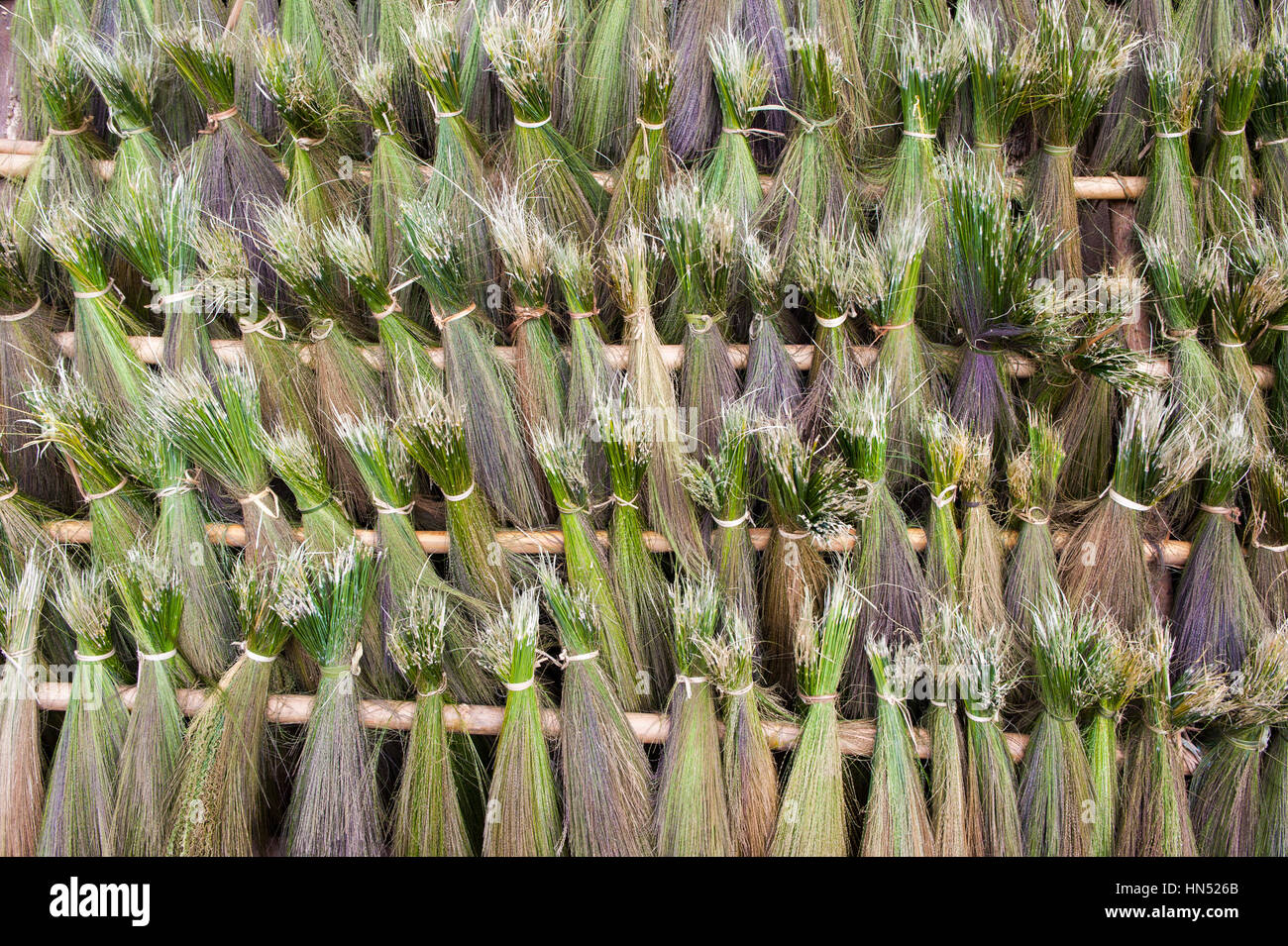 Drying grass hi-res stock photography and images - Alamy