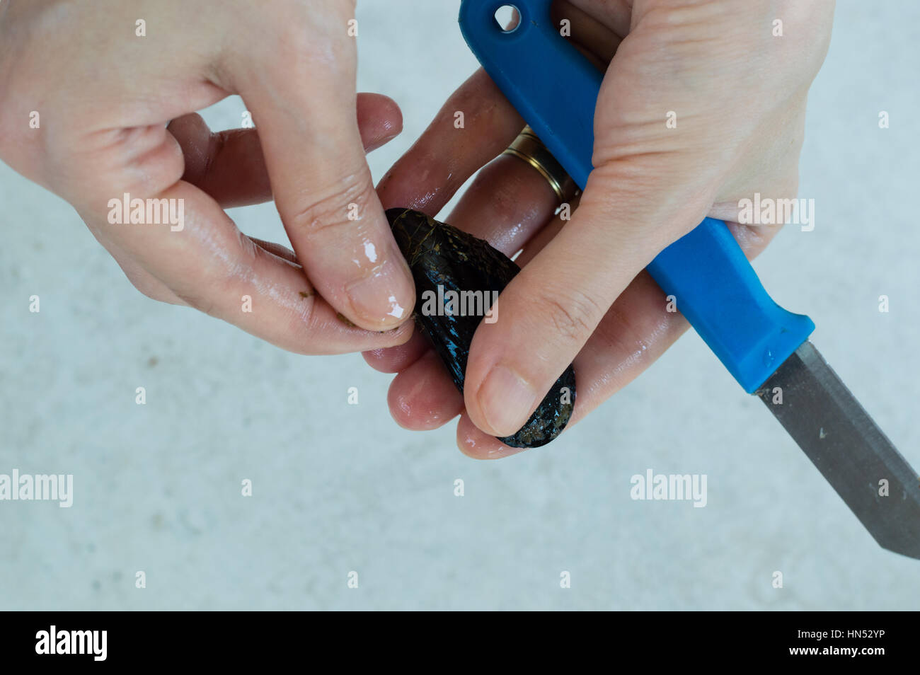 Young woman hands opening fresh mussel shell with a knife Stock Photo ...