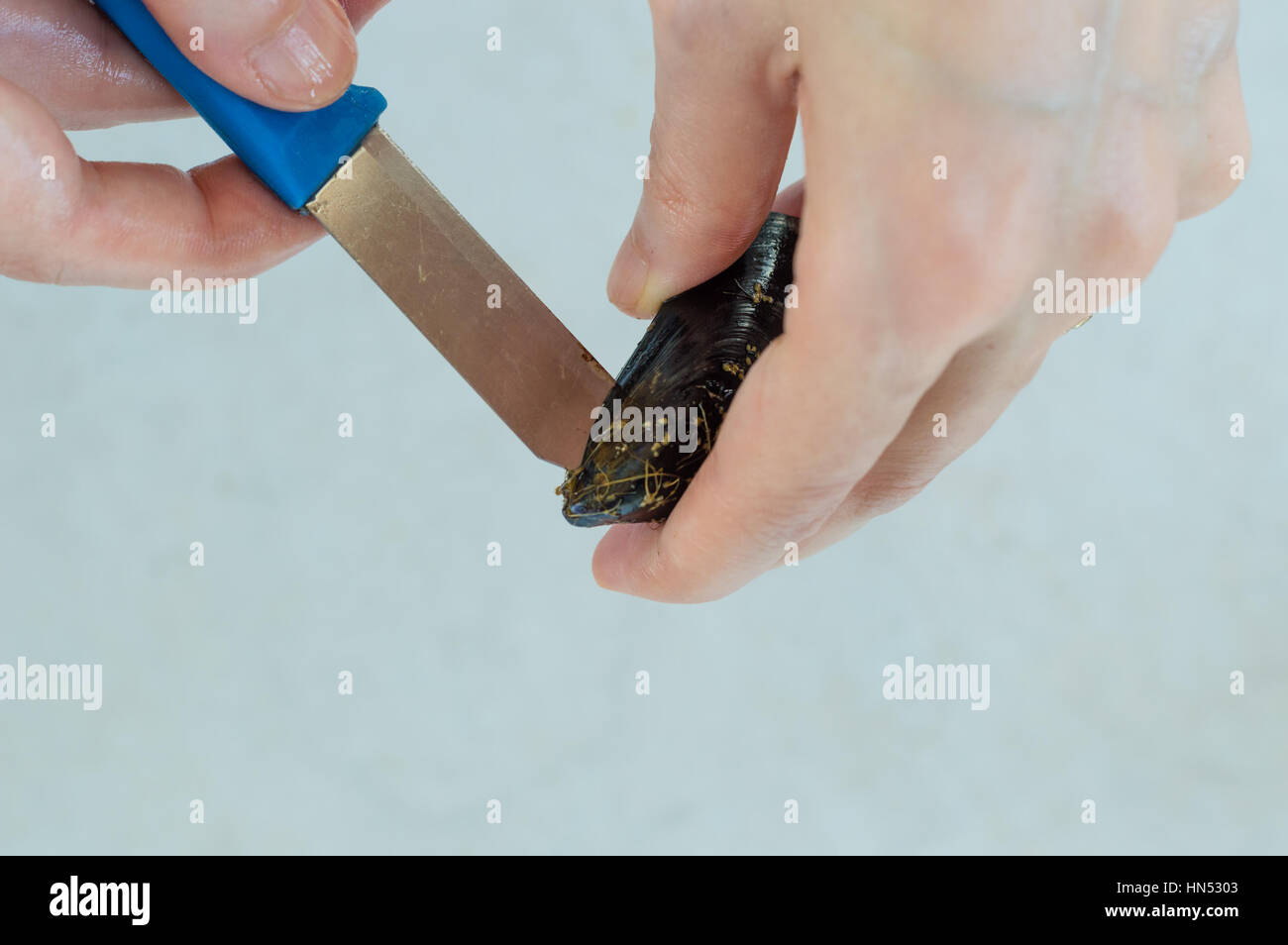 Young woman hands opening fresh mussel shell with a knife Stock Photo ...