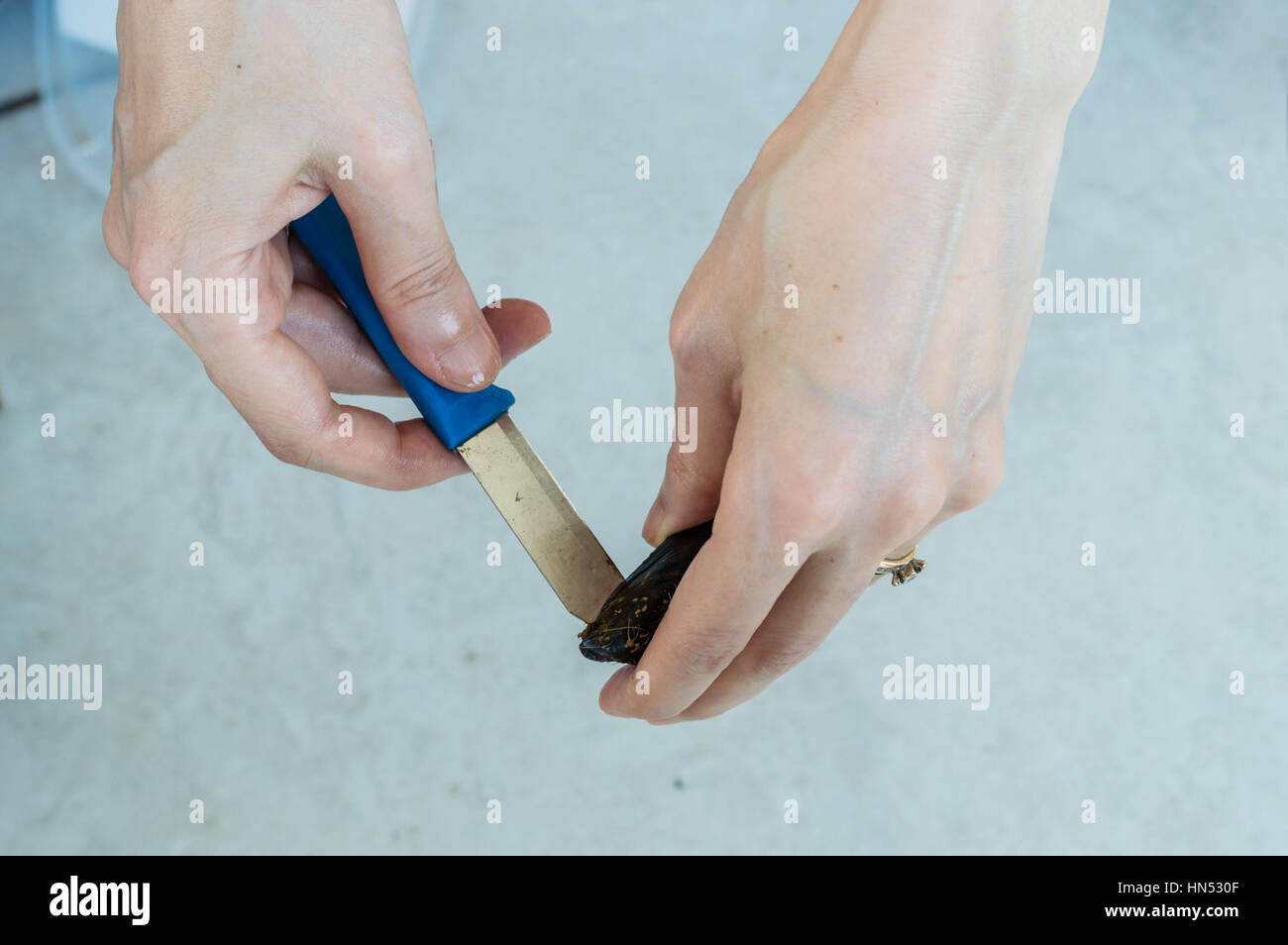 Young woman hands opening fresh mussel shell with a knife Stock Photo ...
