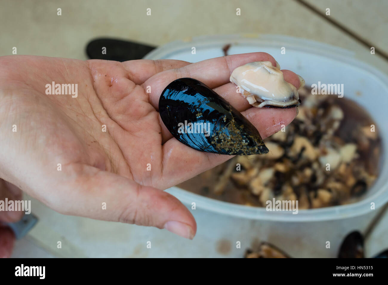 Old woman holding a fresh mussel in her hand Stock Photo - Alamy