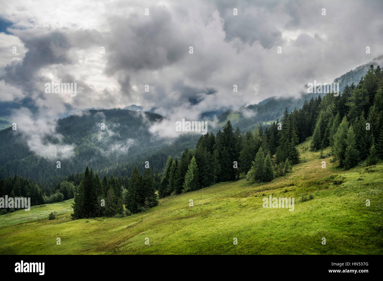 Alps summer kitzbuehel hi-res stock photography and images - Alamy