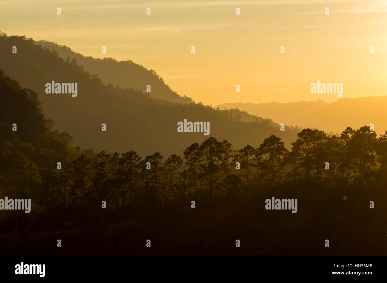 Tropical afternoon haze at the rain-forest of Northern Thailand Stock ...