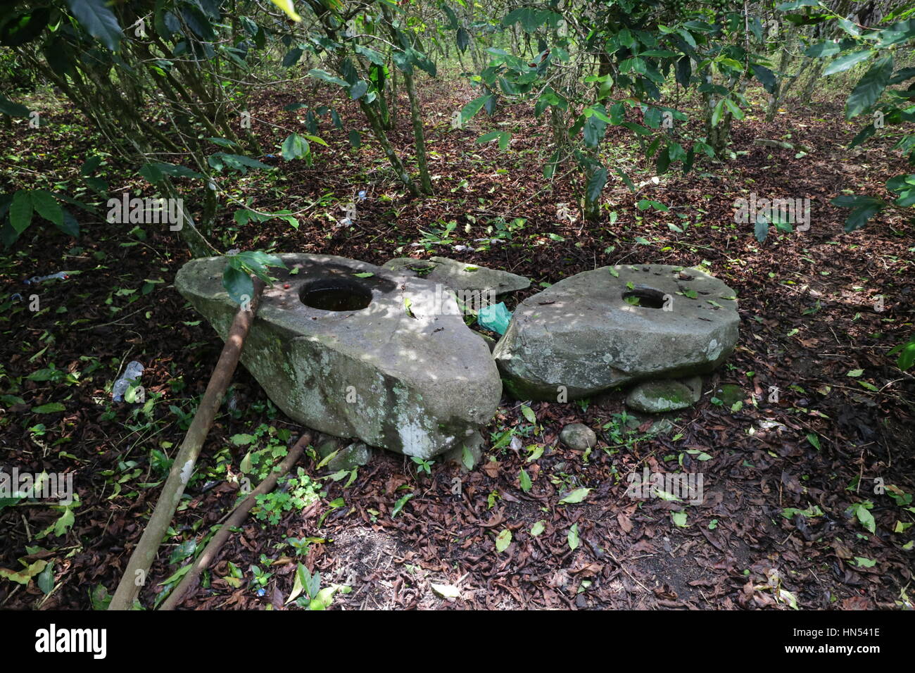 Bataknese traditional rice pestle, Toba lake, north Sumatera, Indonesia ...