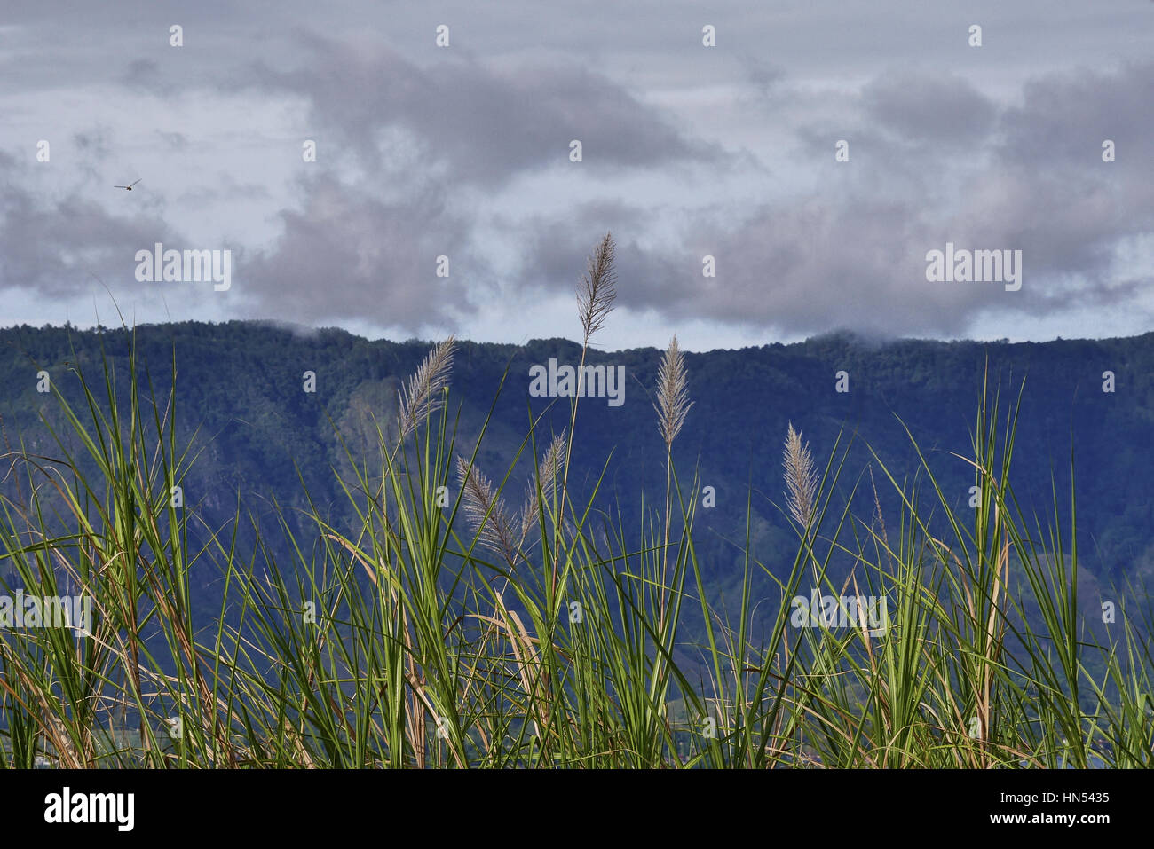 View of toba lake from Parapat, North Sumatra, Indonesia. Parapat is ...