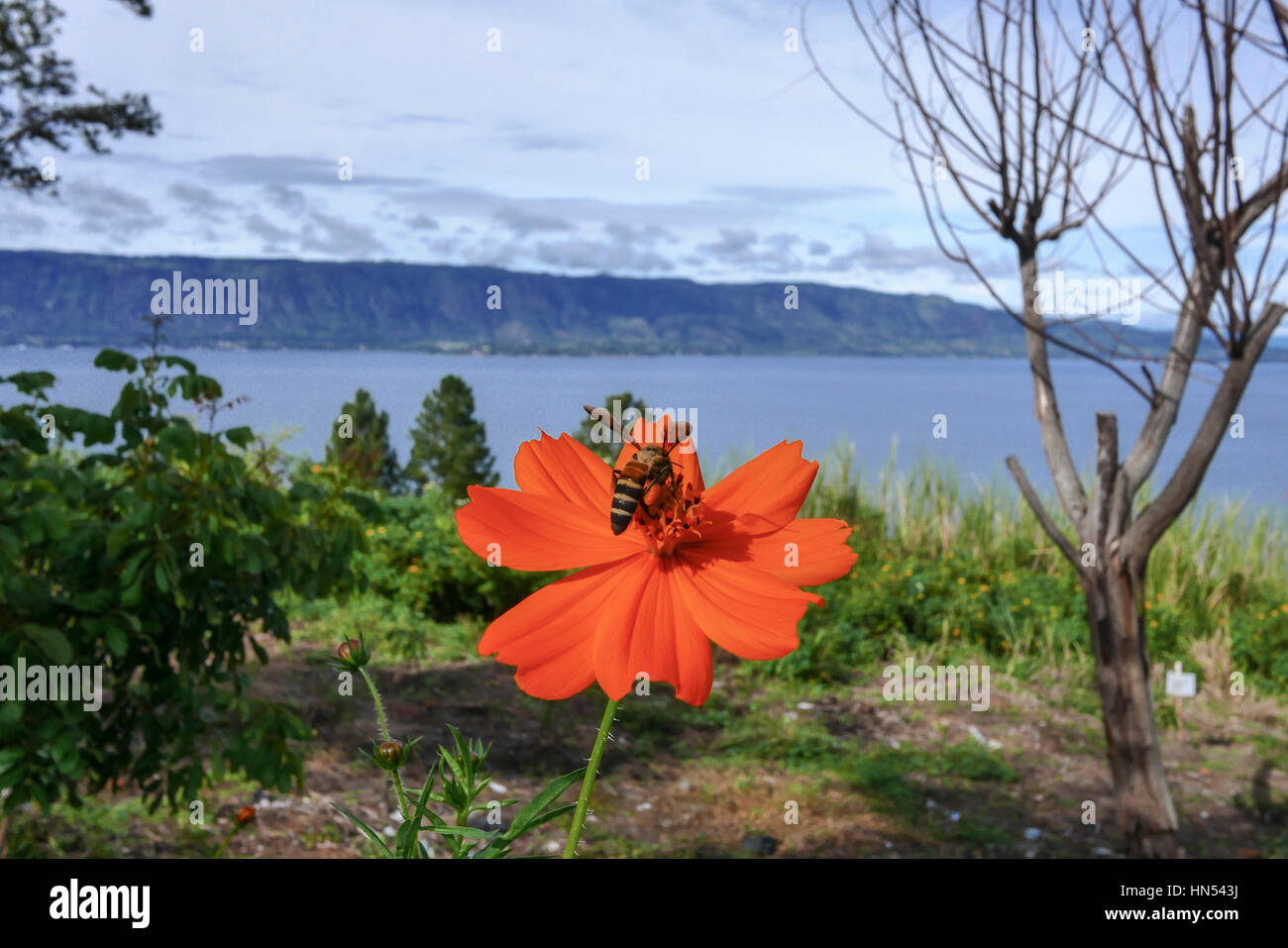 View of toba lake from Parapat, North Sumatra, Indonesia. Parapat is ...