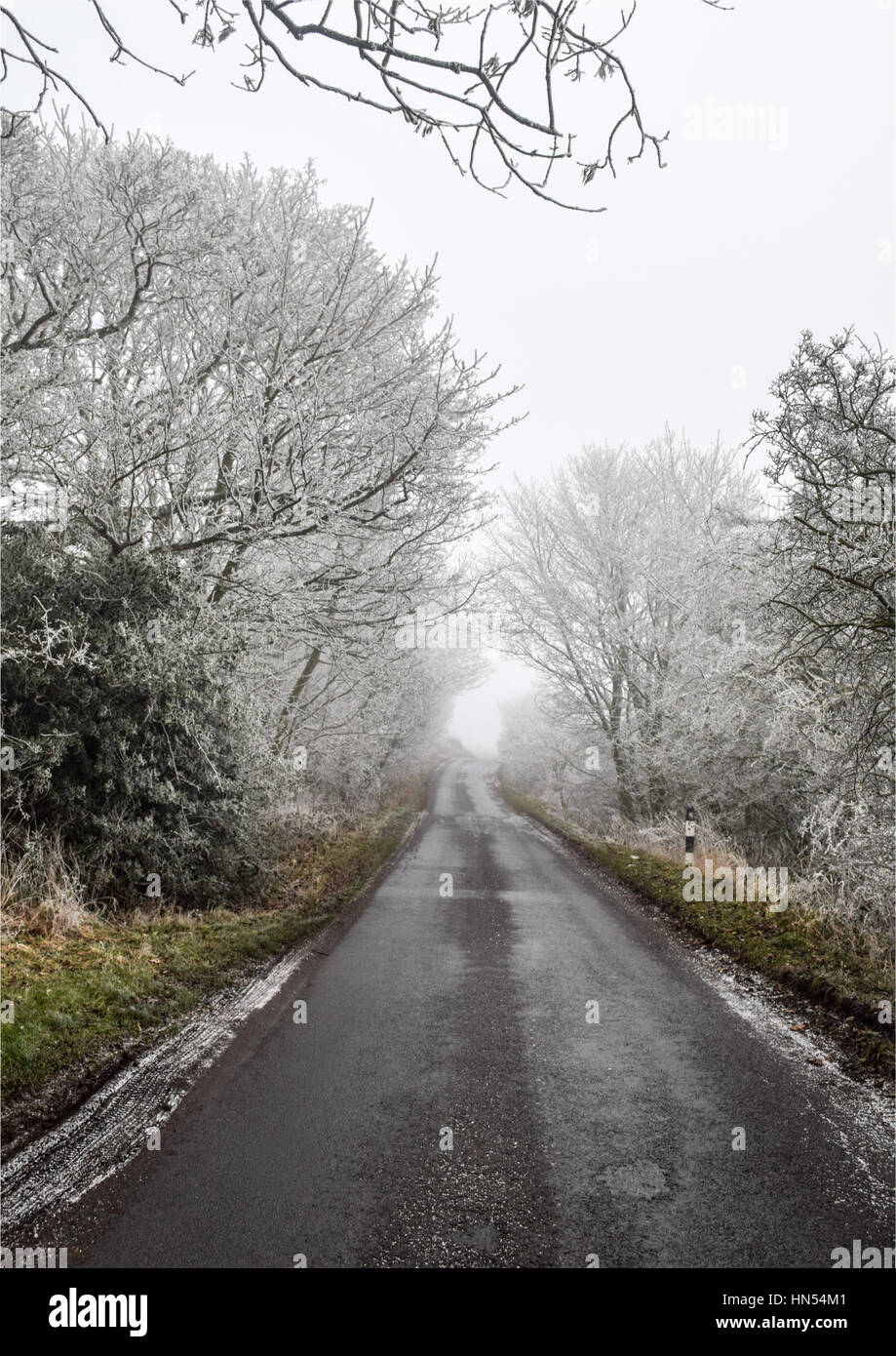 Partial frost covered grass verge and trees in freezing fog Stock Photo ...