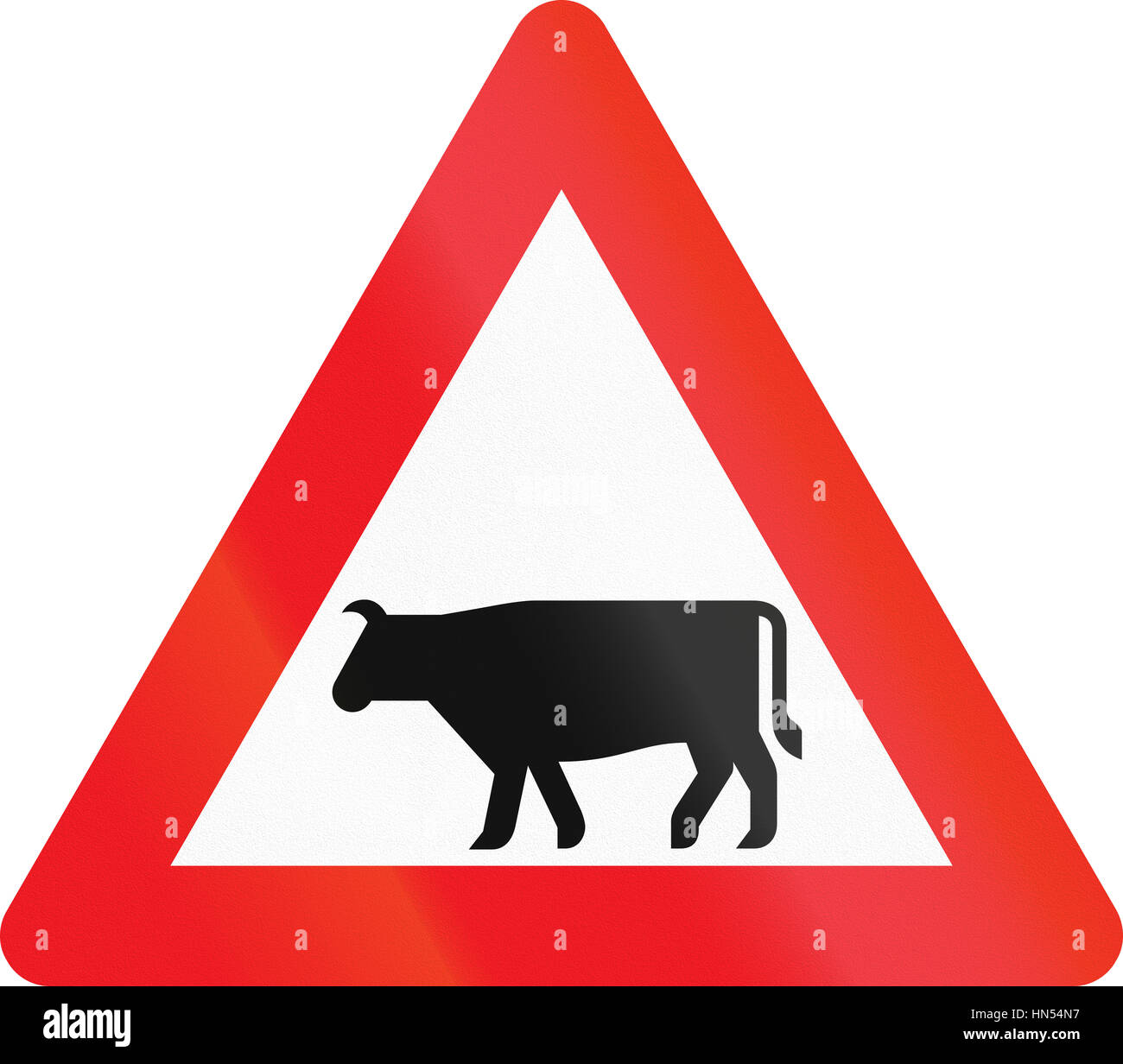 Warning road sign used in Denmark - Cattle Stock Photo - Alamy