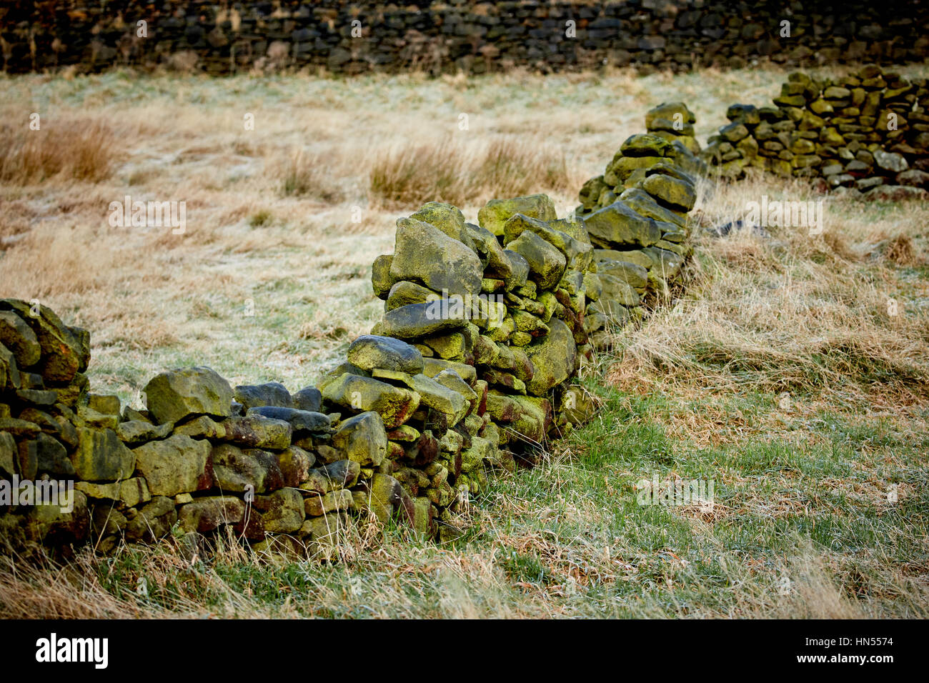 Farmers stone dry wall boundary near Toreside reservoir in Crowden the ...