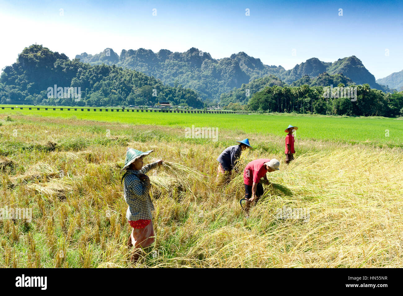 Myanmar (formerly Burma). Kayin State (Karen State). Hpa Han. Workers ...