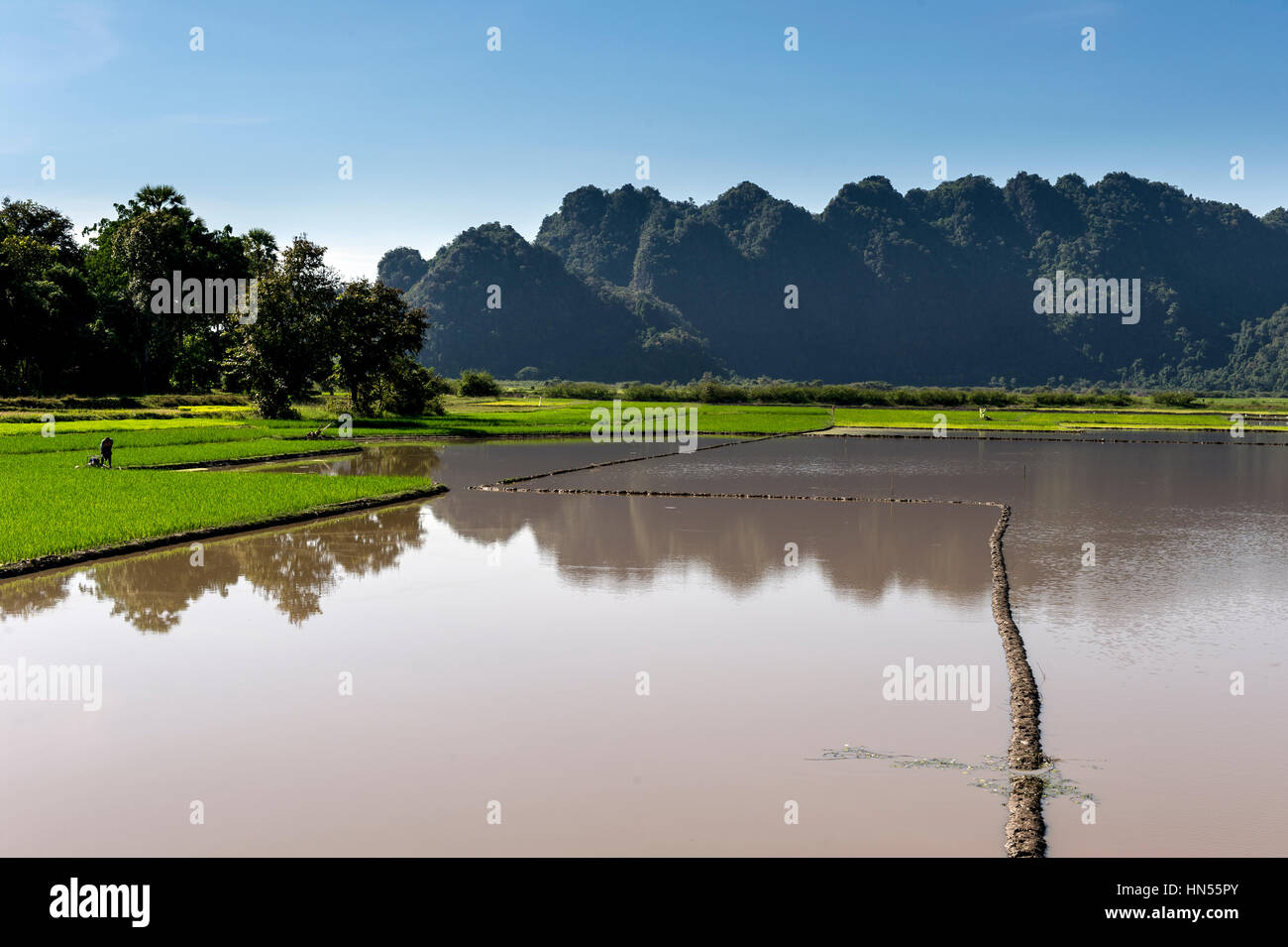 Myanmar (formerly Burma). Kayin State (Karen State). Hpa An. Saddar or ...