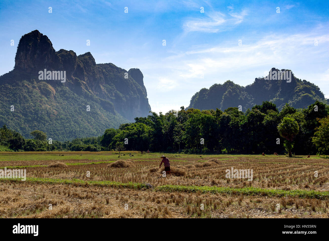 Myanmar (formerly Burma). Kayin State (Karen State). Hpa An. Worker in ...