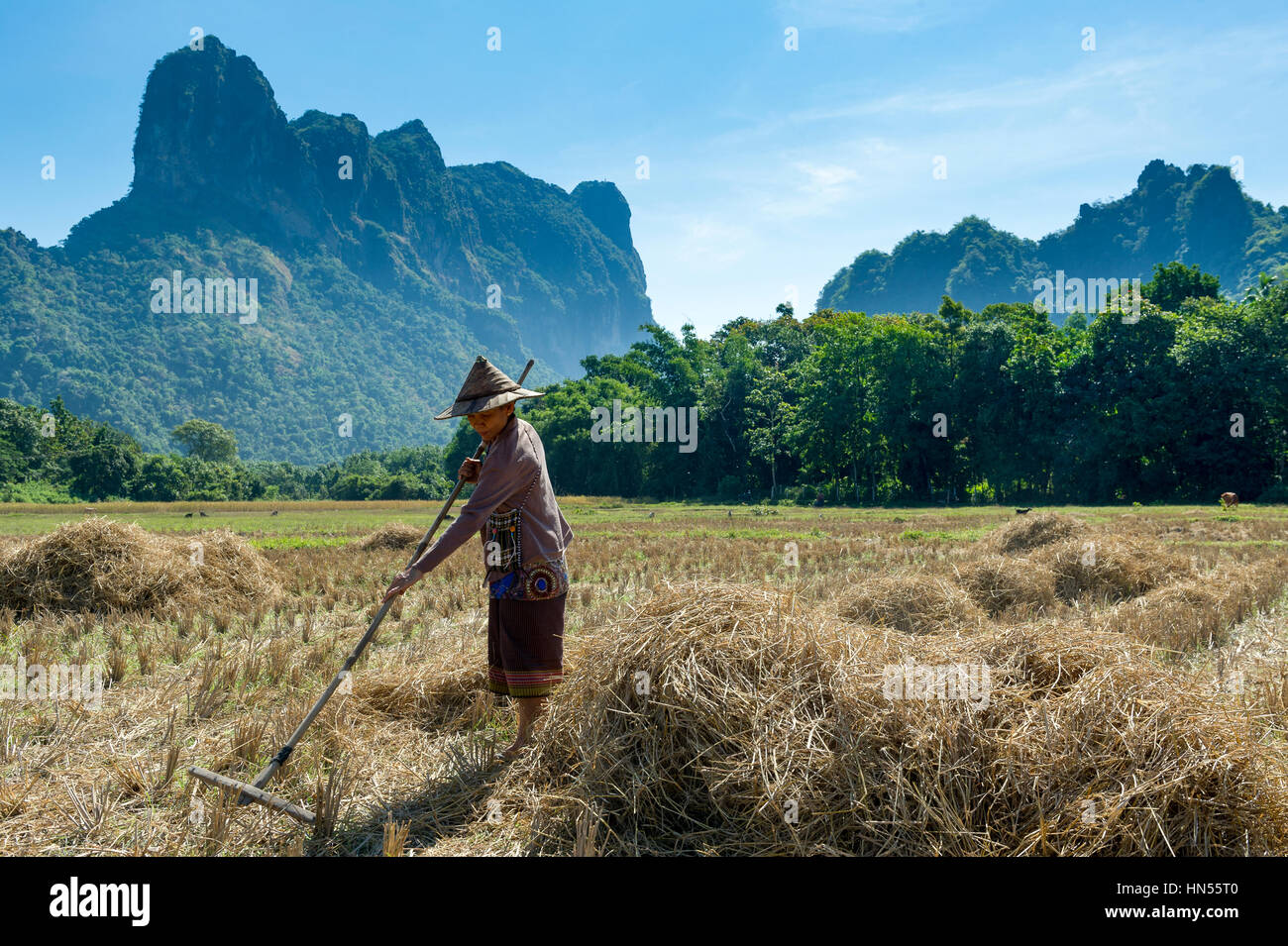 Myanmar (formerly Burma). Kayin State (Karen State). Hpa An. Worker in ...