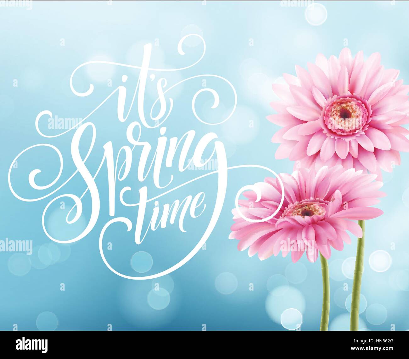 Gerbera Flower Background and Spring Lettering. Vector Illustration ...