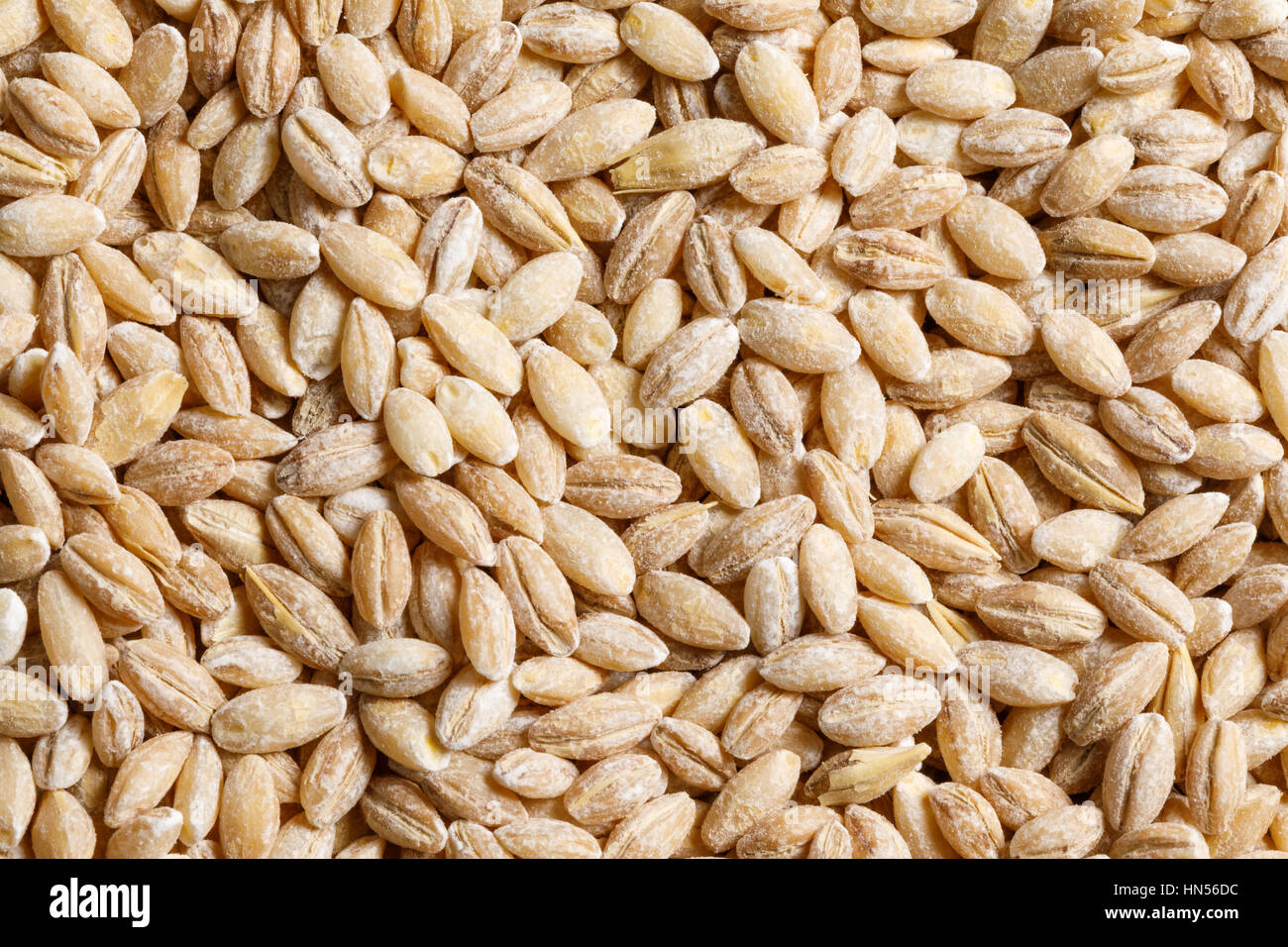 pearl barley raw food ingredient texture macro close up detailed Stock ...