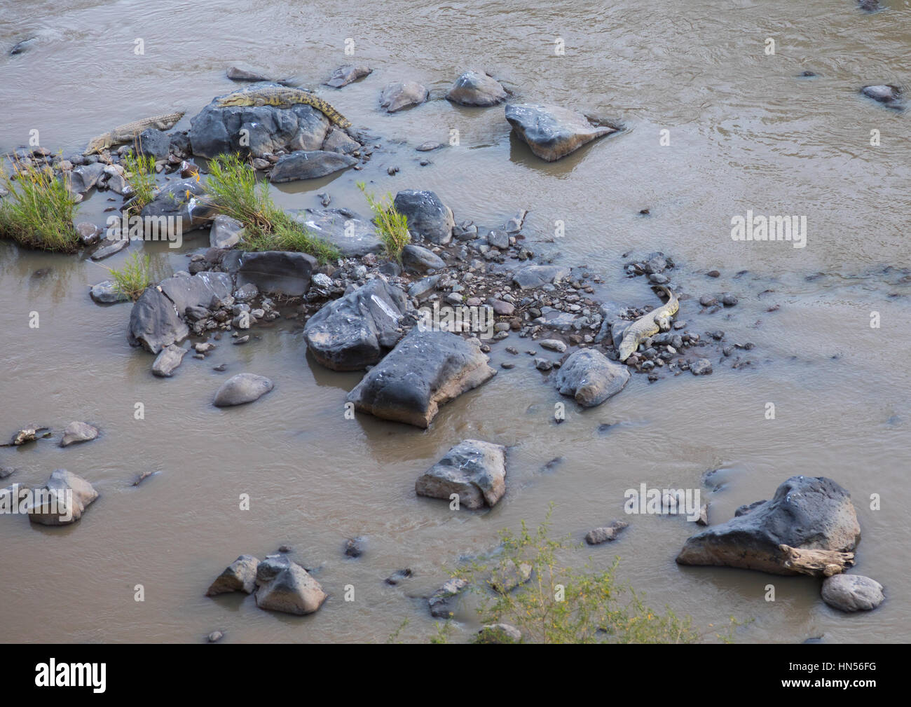 Awash ethiopia river hi-res stock photography and images - Alamy