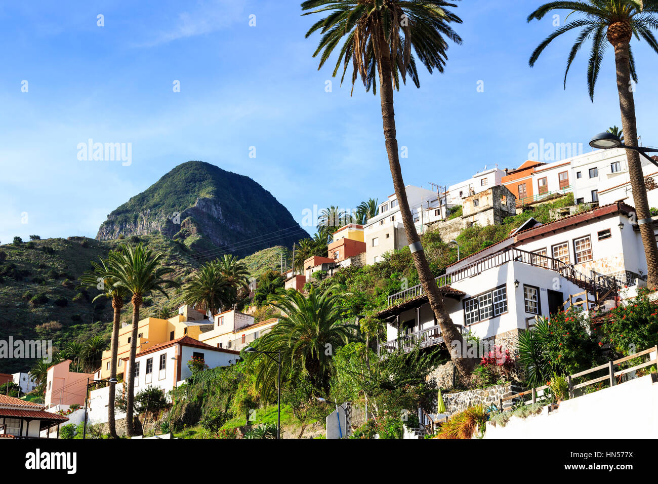houses and palm trees of Hermigua, La Gomera, Canary Islands Stock Photo - Alamy