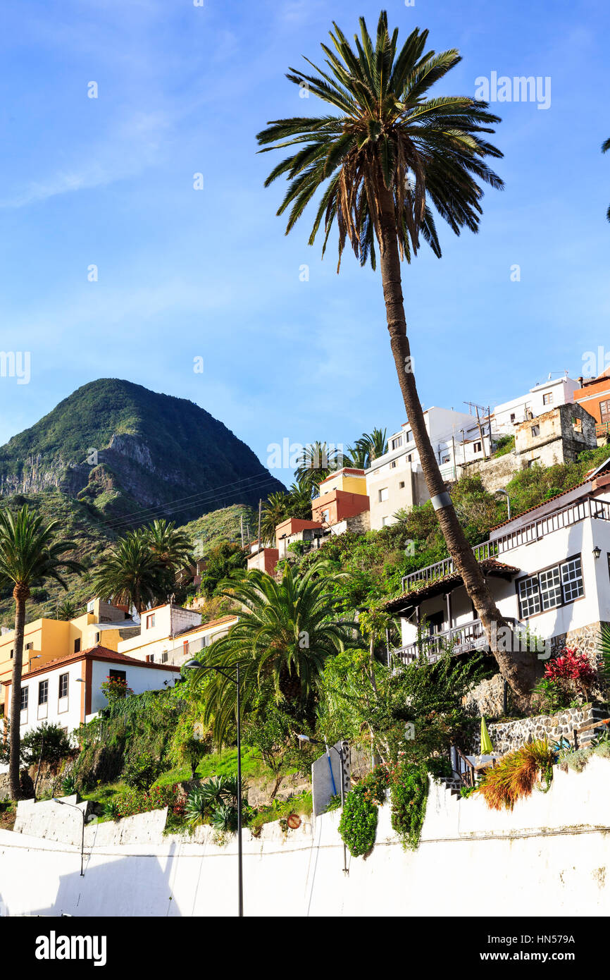 houses and palm trees of Hermigua, La Gomera, Canary Islands Stock Photo - Alamy