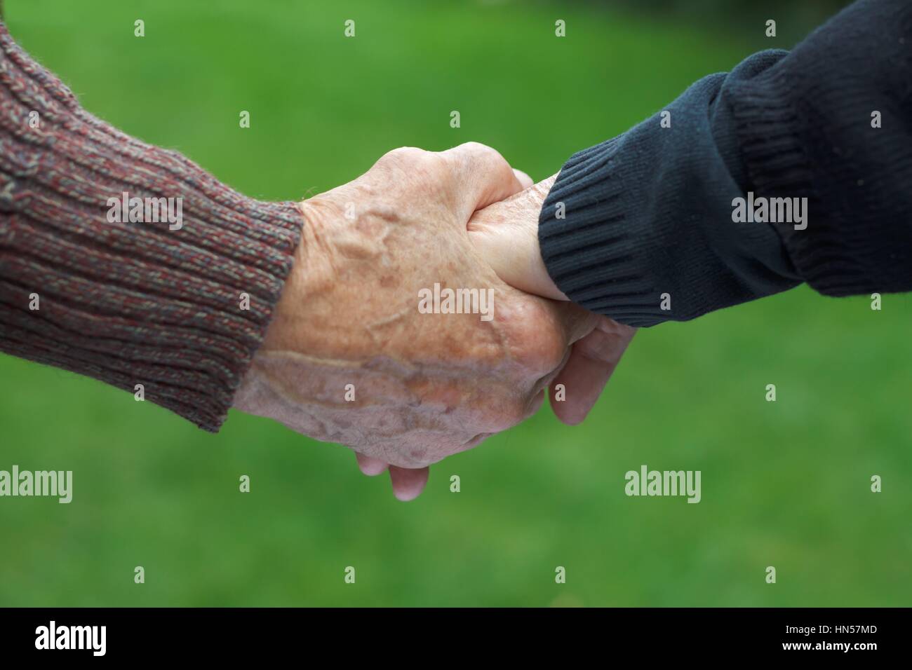 Close up of elderly couple holding hands Stock Photo - Alamy