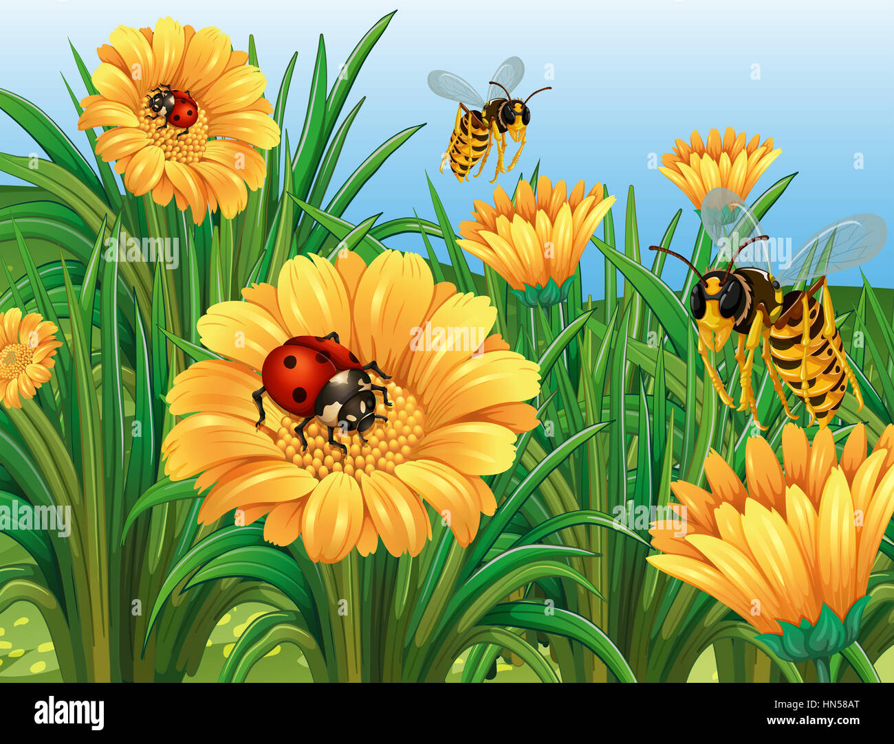 Ladybugs and wasps flying in garden illustration Stock Photo - Alamy