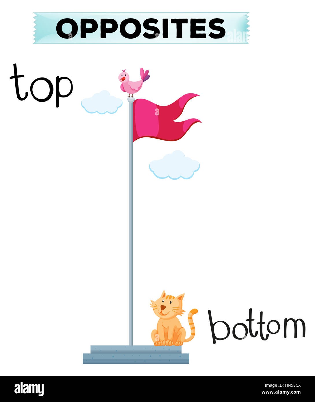 Flashcard to see illustration hi-res stock photography and images - Alamy