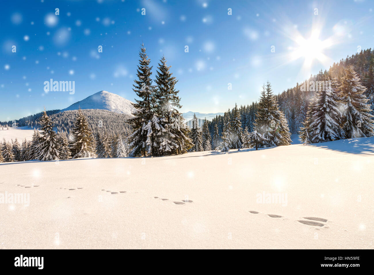 Beautiful winter panorama with fresh falling snow. Landscape with ...