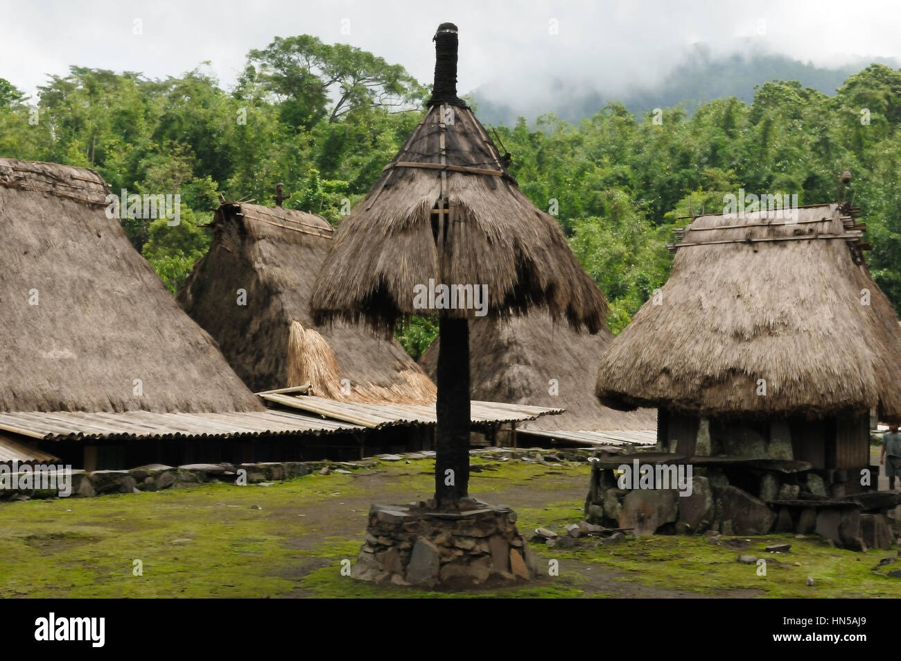 Indonesia the country side - Bena minority village on the Flores island ...