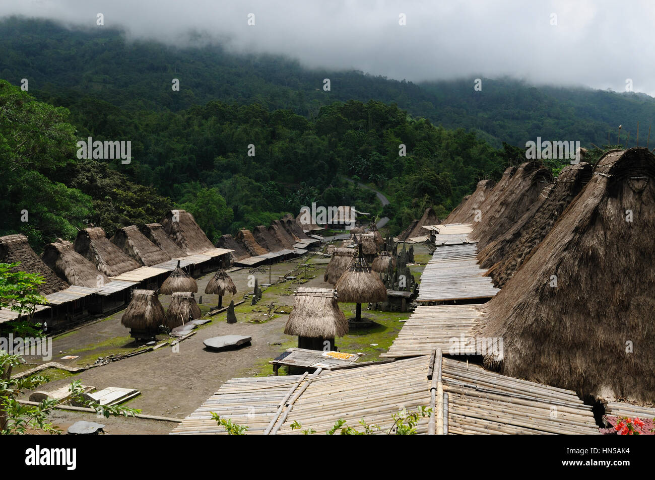 Indonesia the country side - Bena minority village on the Flores island ...