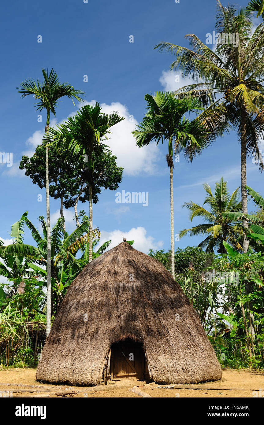Country side of timor leste hi-res stock photography and images - Alamy