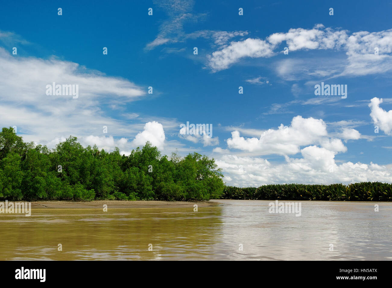 Scenic view of wild tropical jungle on the Kayan river, East Kalimantan ...