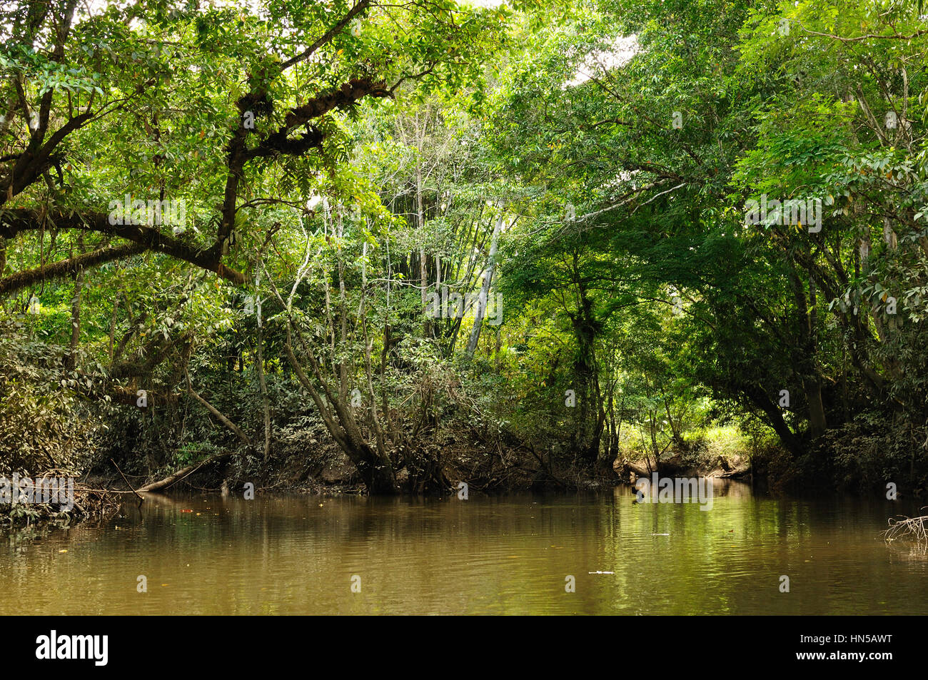 Sungai kayan hi-res stock photography and images - Alamy