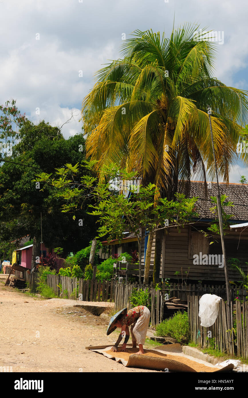 Indonesia - rural scene on the village Stock Photo - Alamy