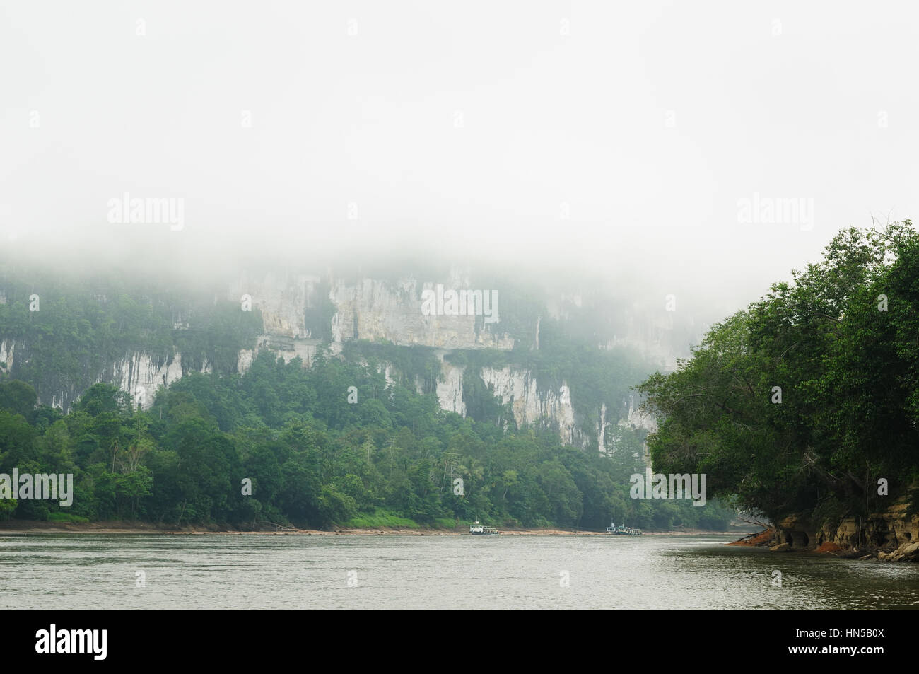 Scenic view of wild tropical jungle on the Mahakam river, East ...