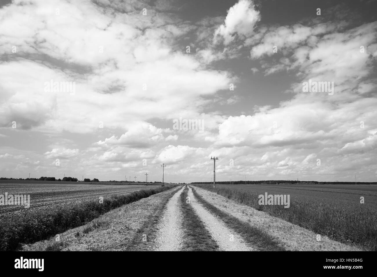 Field road landscape Stock Photo - Alamy