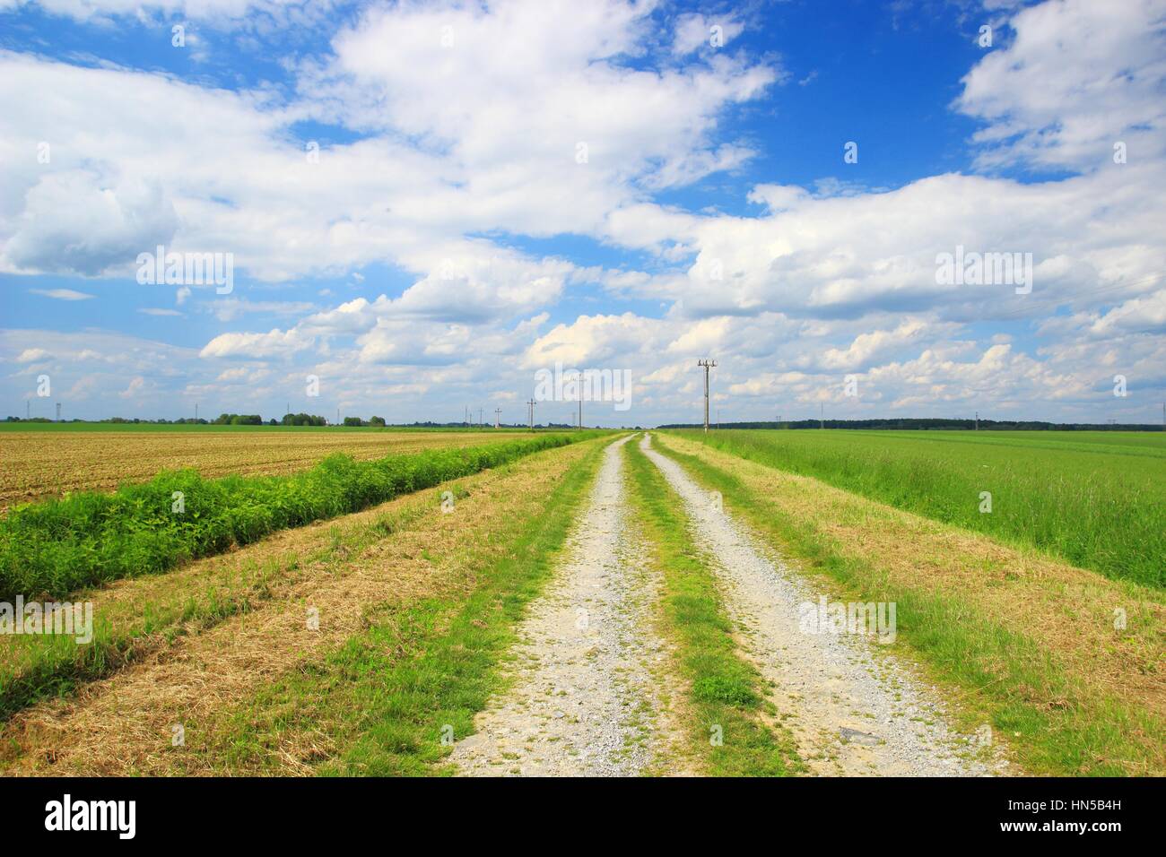 Agriculture road hi-res stock photography and images - Alamy