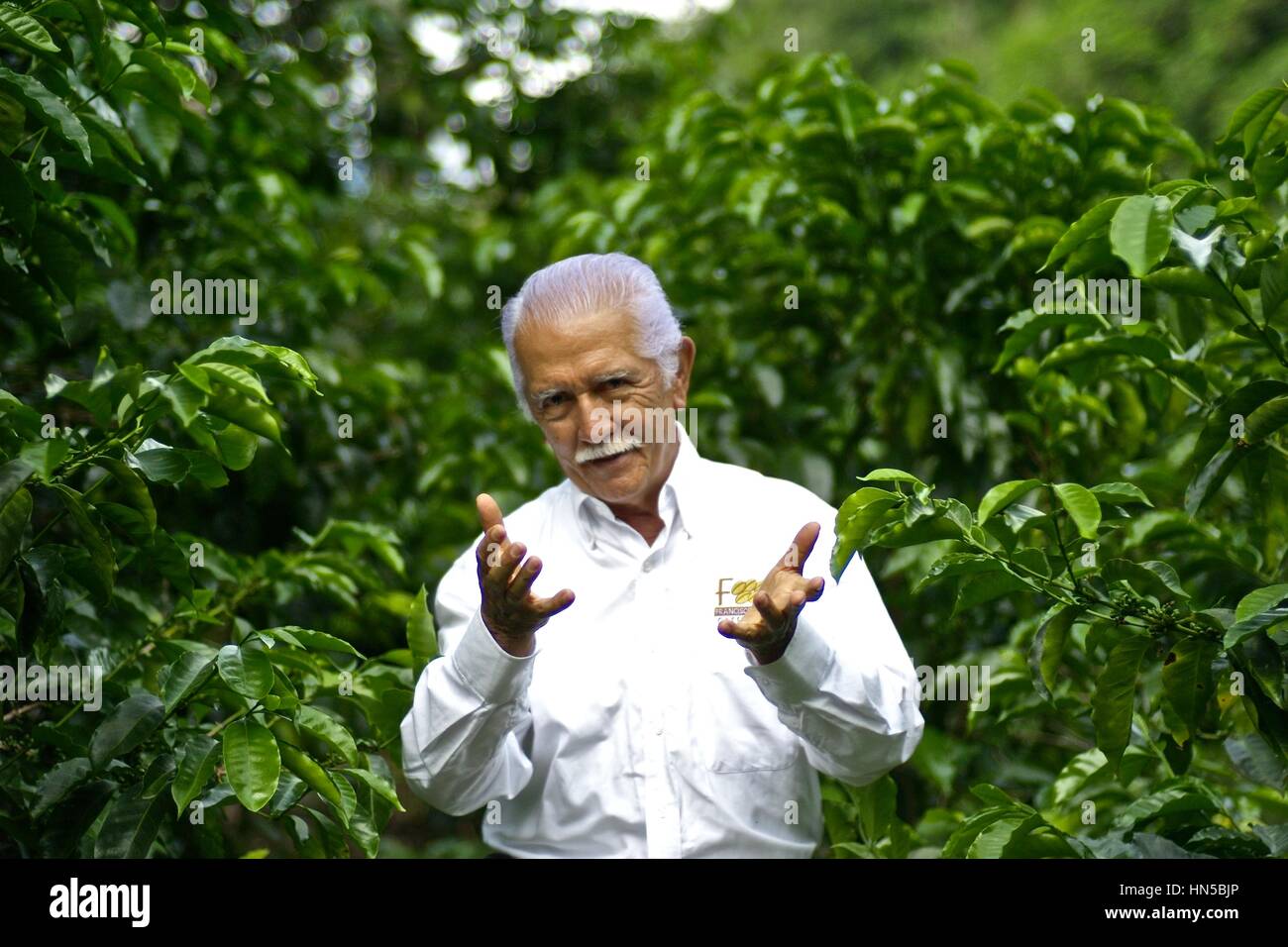 Don pachi estate hi-res stock photography and images - Alamy