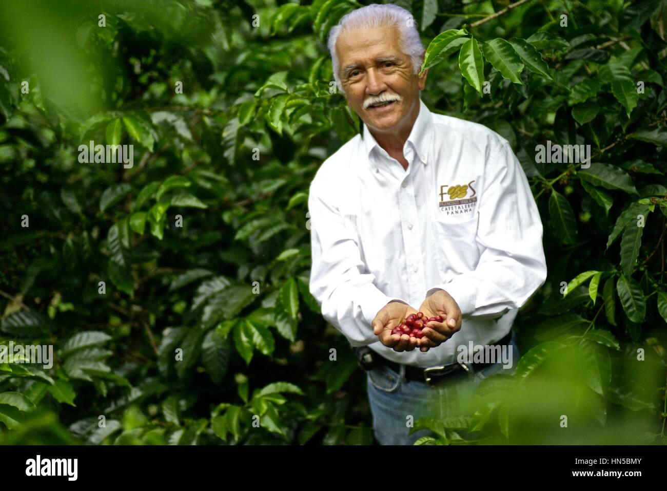 Portrait of Don Francisco Serracin, founder of Don Pachi Estate ...