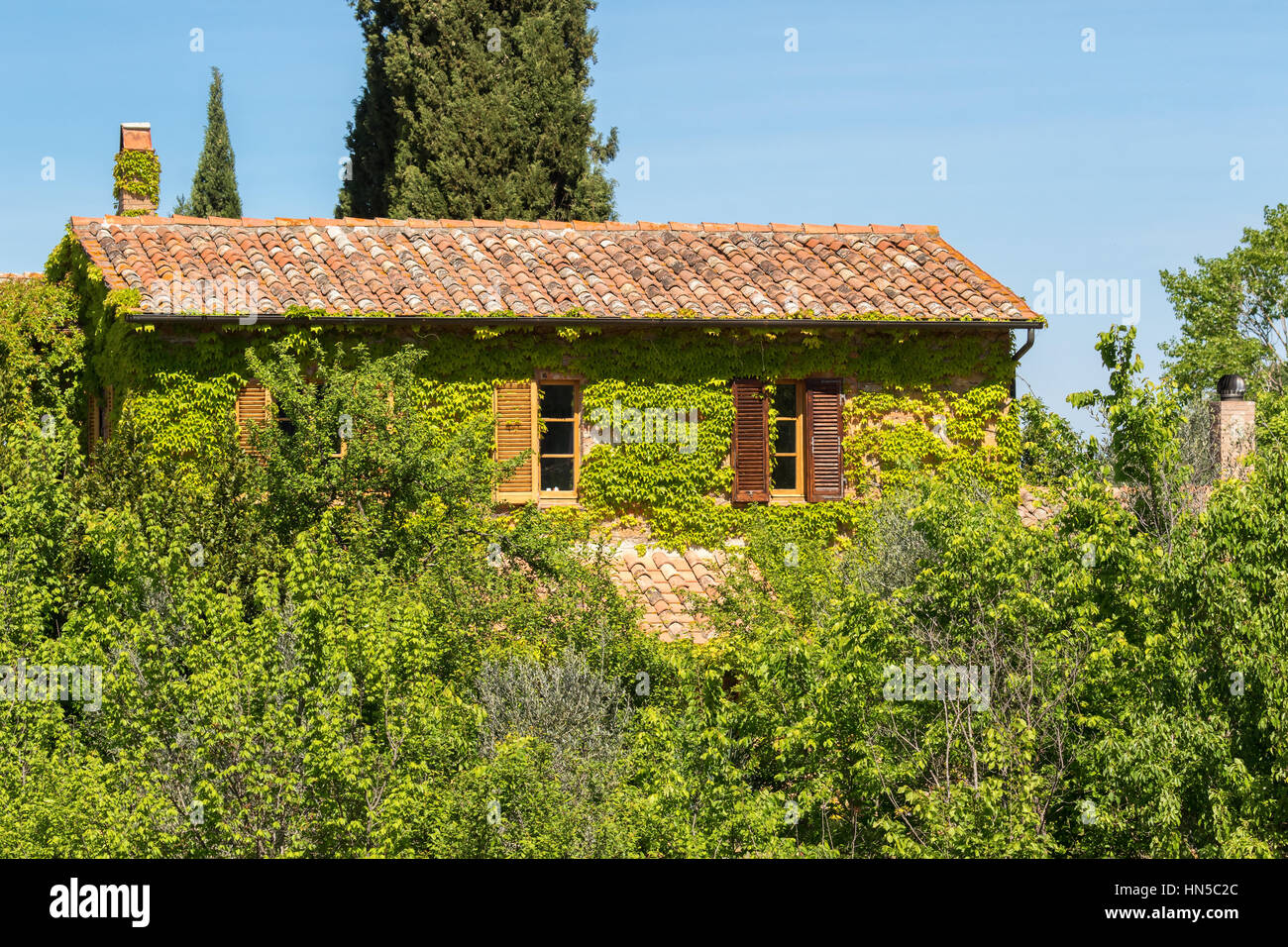 Italian cottage overgrown with ivy Stock Photo - Alamy