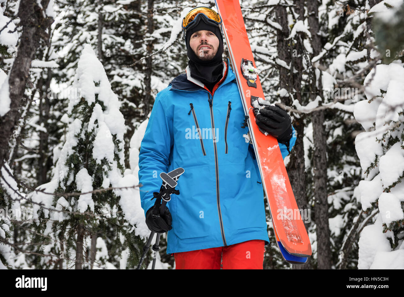 Rear view of skier walking with ski on snow covered mountains Stock ...