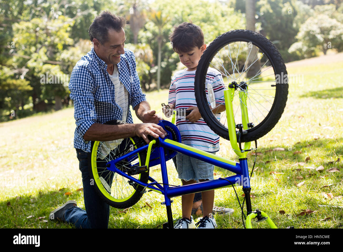 Son and father repairing their bicycle in park on a sunny day Stock ...